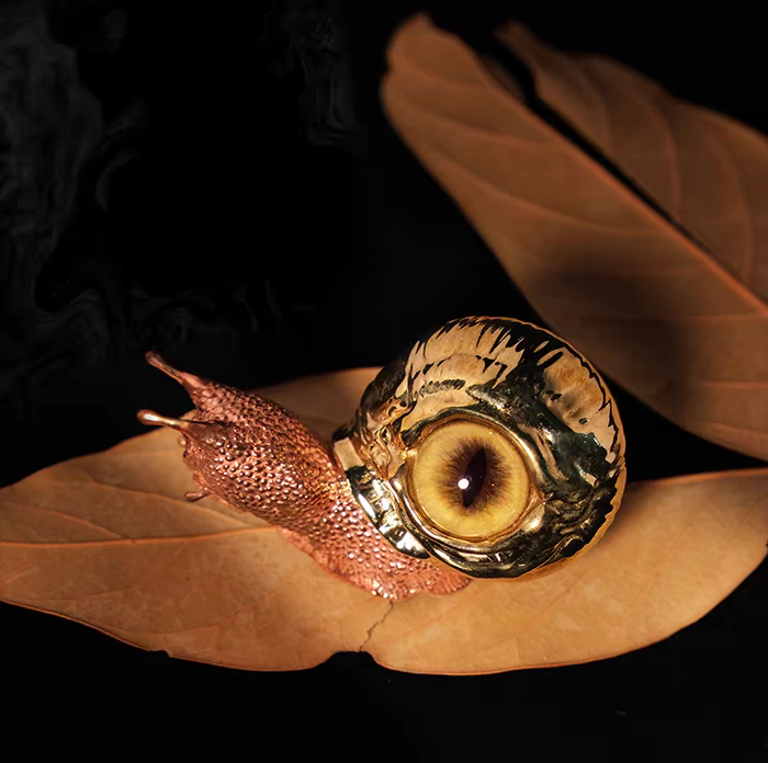 Little-Eye Snail – JZEDC